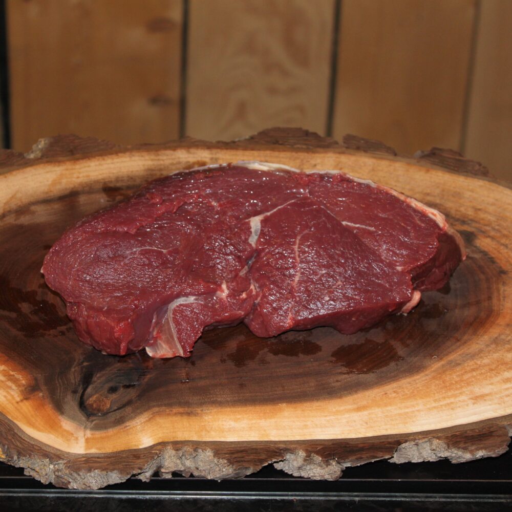 Bison Farming In The Oak Ridges Moraine | Thunder Ridge Bison Company